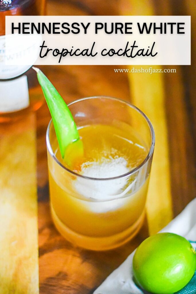 Tropical Hennessy Pure White Cocktail - Dash of Jazz