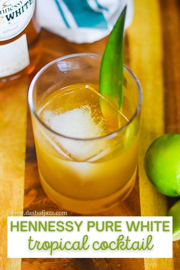 Tropical Hennessy Pure White Cocktail - Dash of Jazz