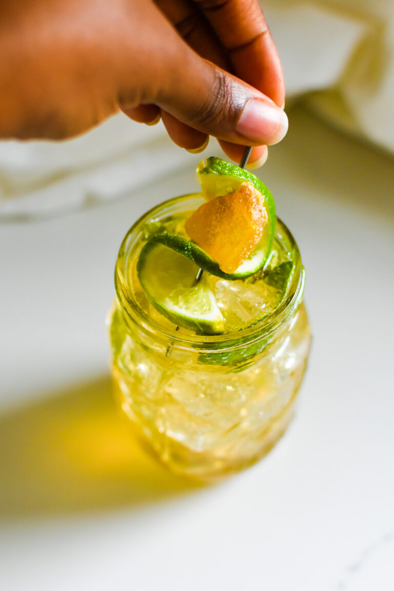 Easy Ginger Ale Mocktail - Dash of Jazz