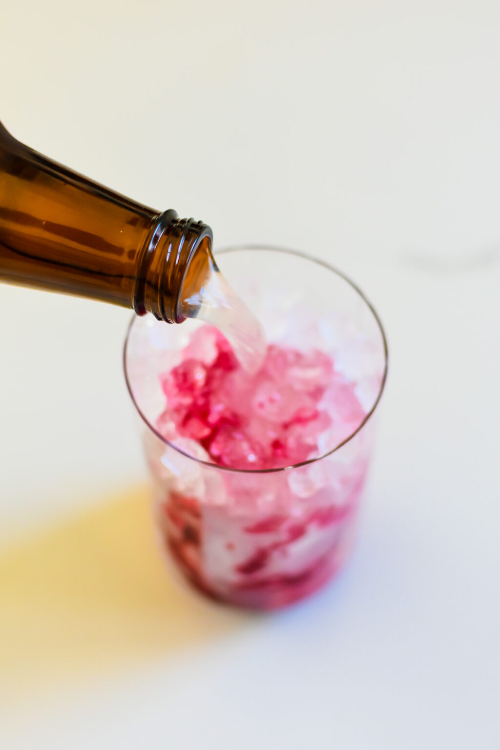 Hibiscus Ginger Beer Recipe - Dash of Jazz