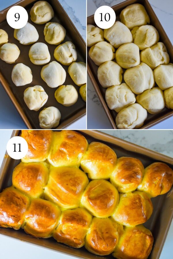 Sweet Dinner Rolls from Scratch (Easy Recipe) - Dash of Jazz