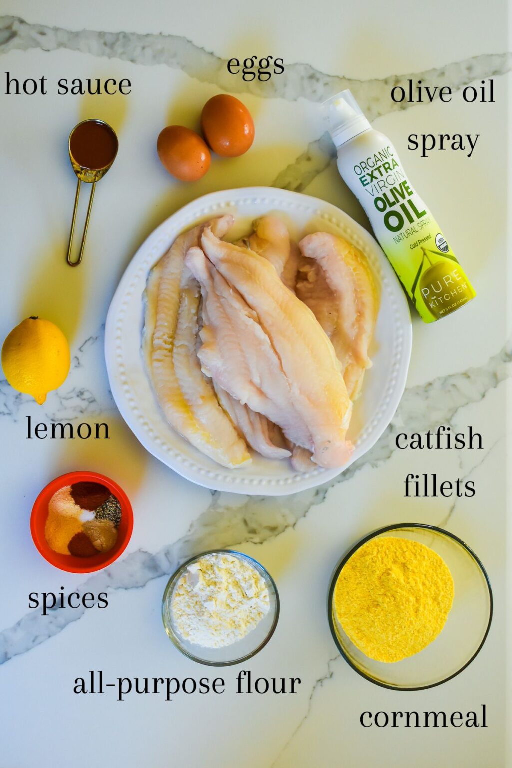 Crispy Oven Baked Catfish (Quick and Easy!) - Dash of Jazz